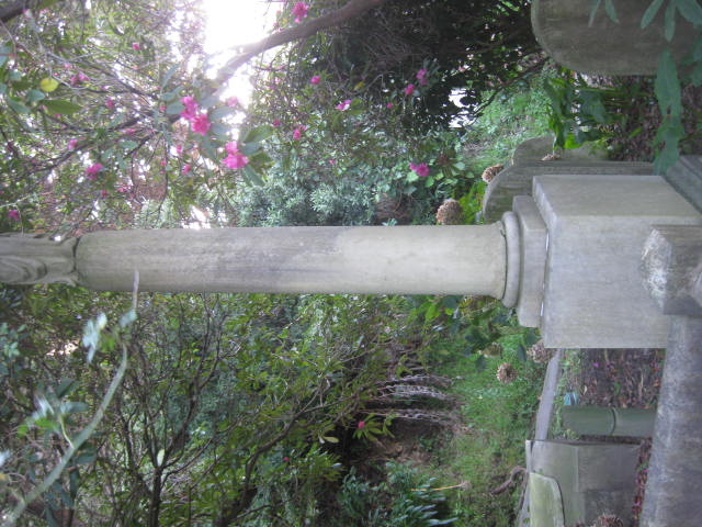 Details for BLUNDELL Henry - The Friends of Bolton Street Cemetery Inc