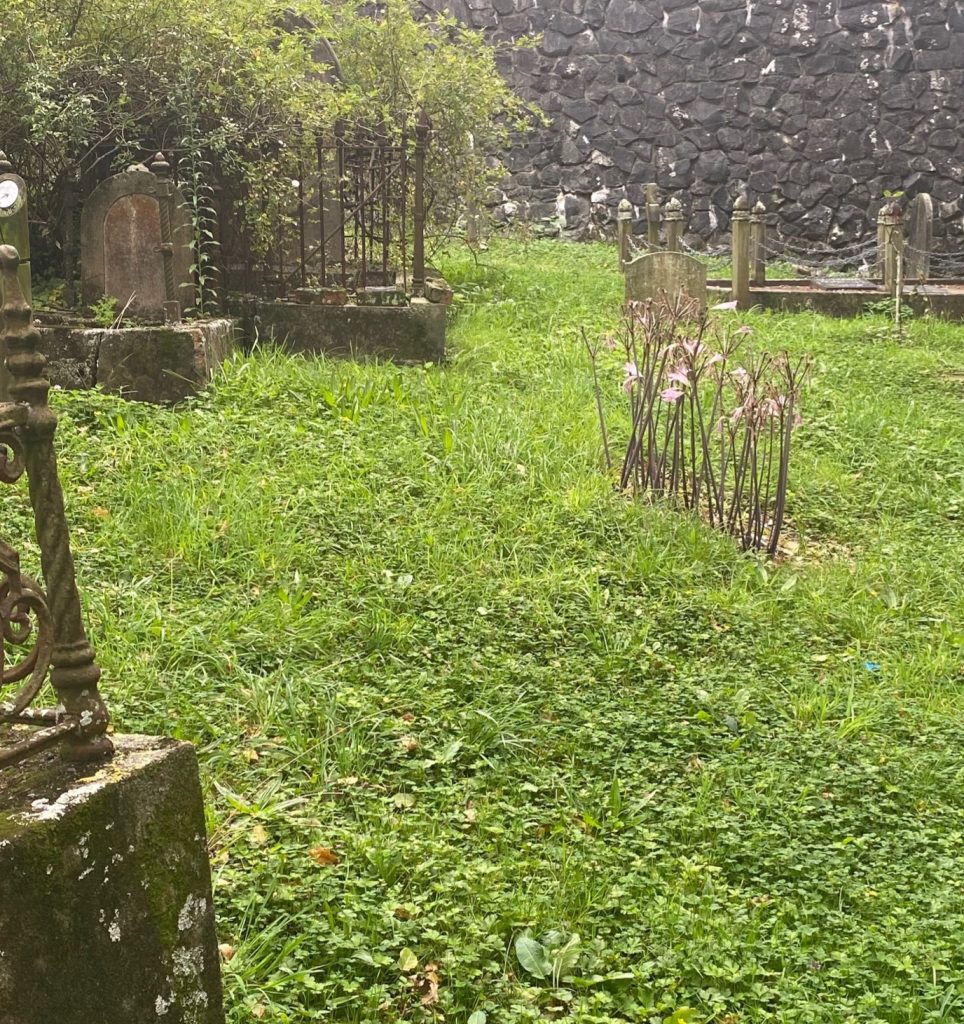Details for BIASS Daniel Ikin - The Friends of Bolton Street Cemetery Inc